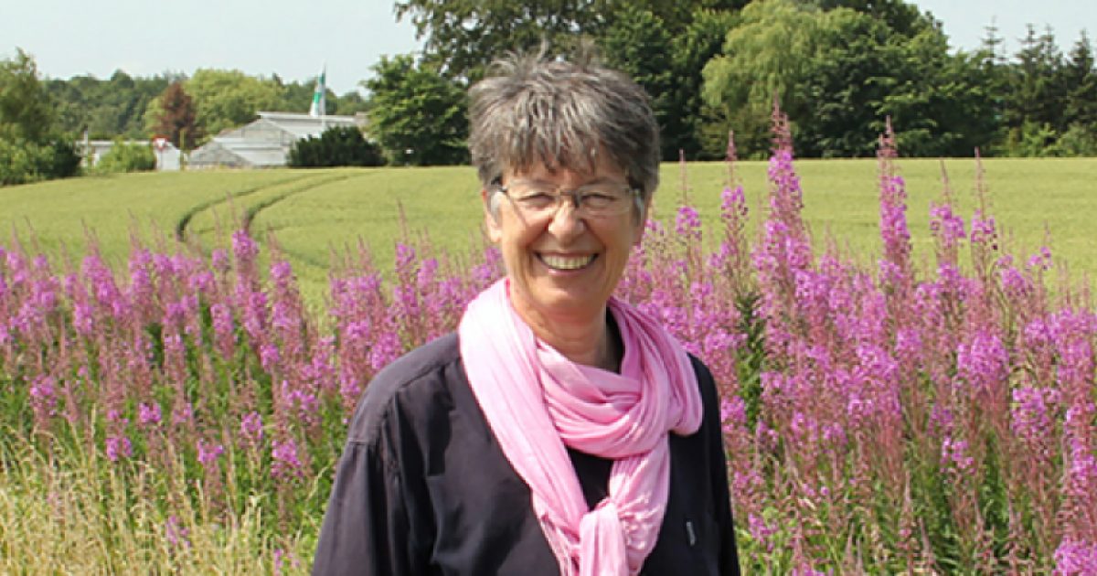 Anne-Marie Steen Petersen | Helsingør Kommunes Biblioteker